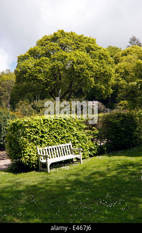 English garden with shady seating area and wooden Arbour Stock Photo ...