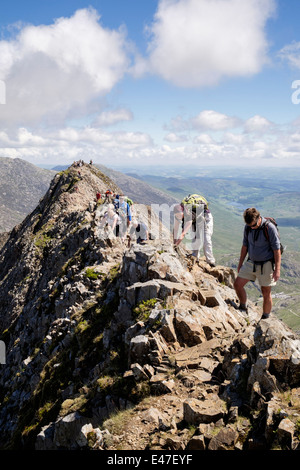 Hikers scrambling on Crib Goch ridge scramble at start of Snowdon ...