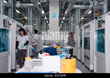 Conergy solar modules Stock Photo - Alamy