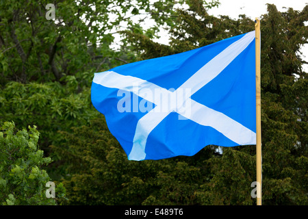 Scottish Flags - The national flag (the Saltire) and the Lion Rampant ...