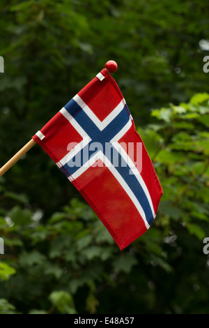 colorful flag of norway with red blue color holi paint powder explosion ...