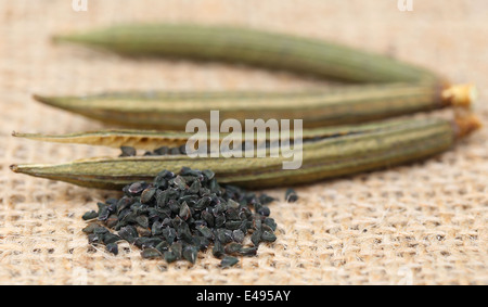 Jute seeds with pods on textured surface Stock Photo - Alamy