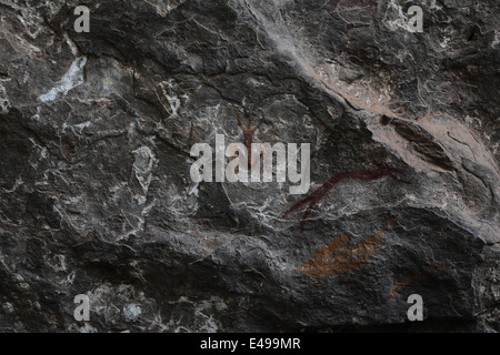 Rock art in Liphofung Cave, Lesotho Stock Photo - Alamy