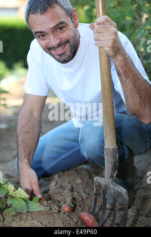 Man digging up vegetables in garden Stock Photo - Alamy
