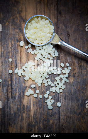 Mastic, Resin from mastic tree, Pistacia lentiscus, Chios tears on ...