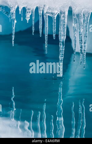 Ice floating in calm sea. Horizontally framed shot Stock Photo - Alamy