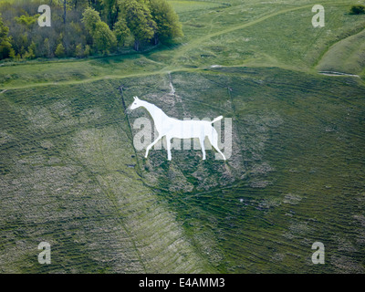 The Devizes White Horse. A chalk hill figure on an escarpment at ...
