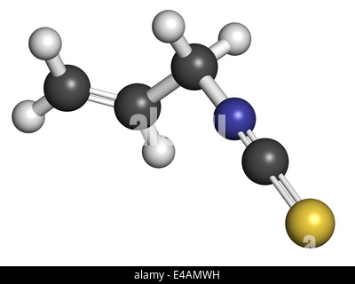 Allyl isothiocyanate mustard pungency molecule. Responsible for pungent ...
