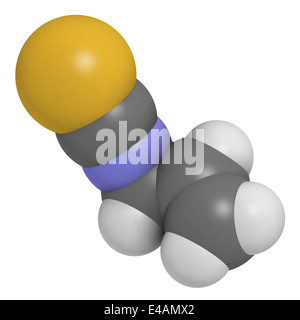 Allyl isothiocyanate mustard pungency molecule. Responsible for pungent ...