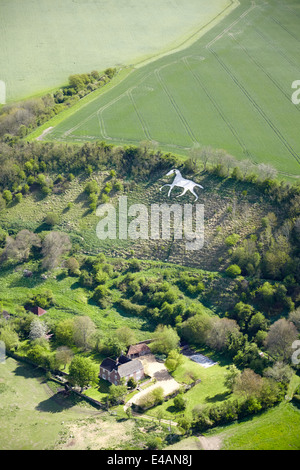 The Devizes White Horse. A chalk hill figure on an escarpment at ...