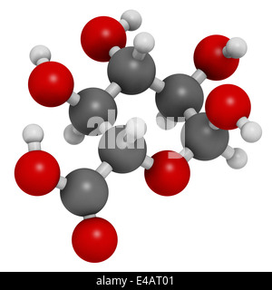 Glucuronic acid molecule. Glucuronidation of xenobiotics plays role in ...