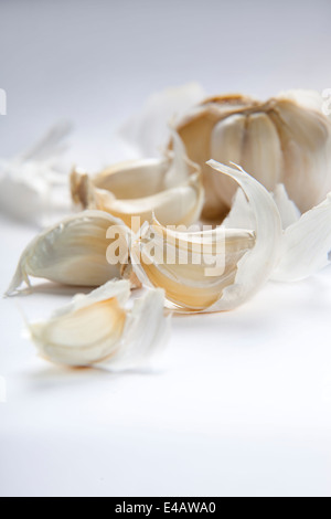 garlic on white background Stock Photo - Alamy