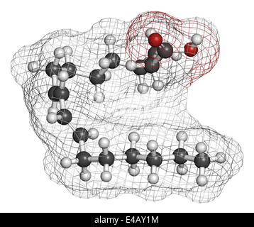 Rumenic acid (bovinic acid, conjugated linoleic acid, CLA) fatty acid ...