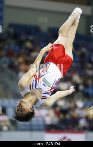 Masaki Ito, JULY 6, 2014 - Trampoline : The 68th All Japan Artistic ...