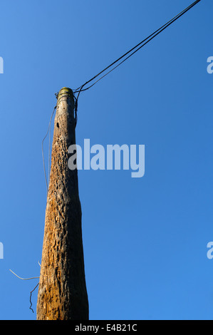 top of wooden electricity pole Stock Photo - Alamy