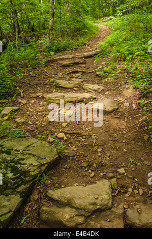 The Appalachian Trail at Neels Gap in the Chattahoochee National Forest ...