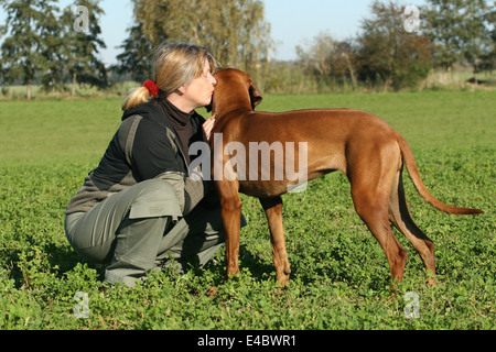 human with Rhodesian Ridgeback Stock Photo - Alamy