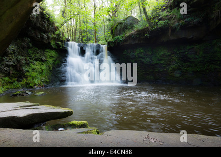 Goit Stock waterfall in Haren Woods near Bradford Stock Photo - Alamy