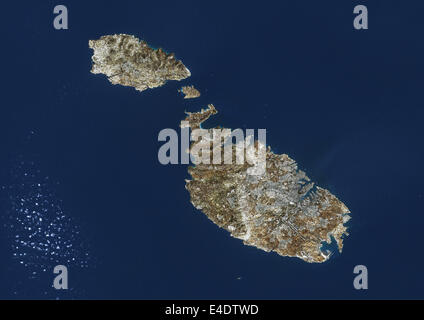 Map of Malta. Island. Mediterranean Sea. Italian engraving. 16th Stock ...