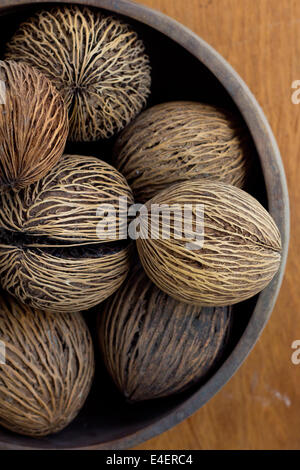 dry coconut home decor Stock Photo - Alamy