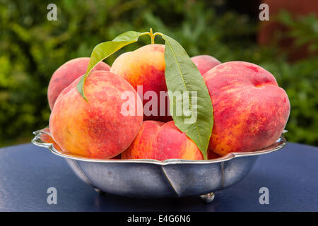 Just harvested peaches, very sweet and fragrant Stock Photo - Alamy