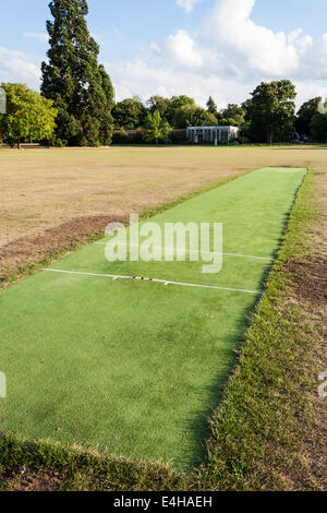 Empty cricket pitch Stock Photo - Alamy