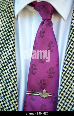 Detail view of a purple Ukip tie and pin Stock Photo - Alamy