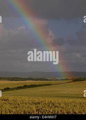 A rainbow over fields Stock Photo - Alamy