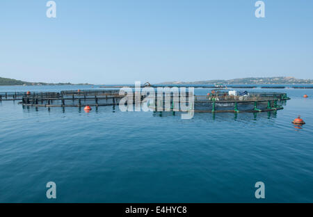 Fish Farm off Argostoli Kefalonia Greece Stock Photo - Alamy