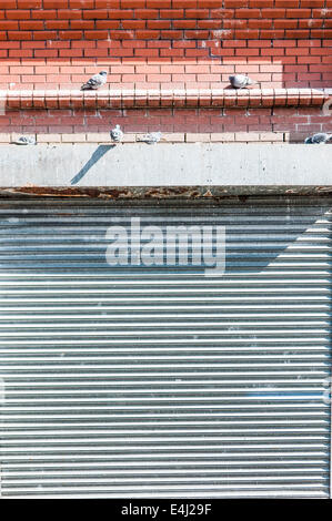 Pull-down shutters on a shop front East London UK Stock Photo - Alamy
