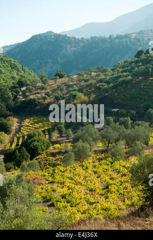 Greece, Rhodes island Embonas village Stock Photo - Alamy