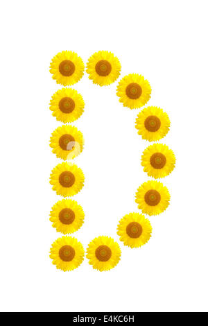 Sunflower alphabet isolated on white background, letter D Stock Photo ...