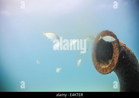 Brine discharge pipe and vent from a desalination plant Stock Photo ...