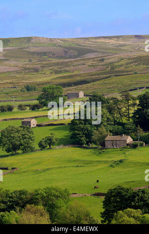 Reeth Swaledale Yorkshire Dales National Park Stock Photo - Alamy