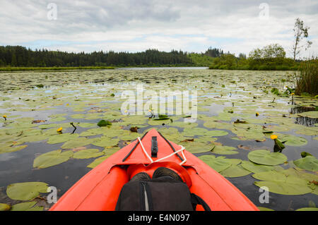 Loch Stroan, Dumfries & Galloway, Scotland, UK Stock Photo - Alamy