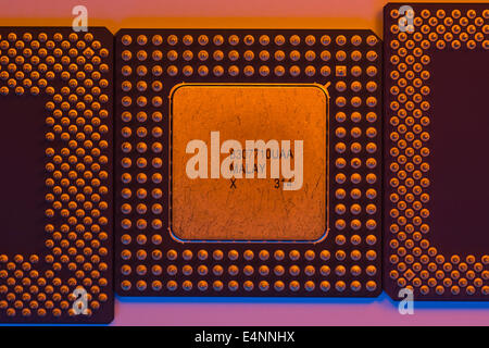 Legacy Intel / AMD PC processors showing gold pinout (staggered PGA ...