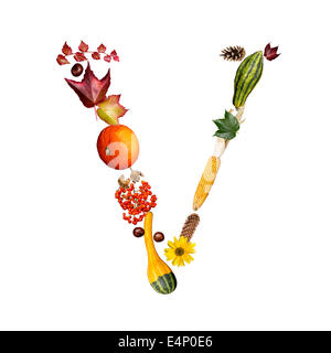 isolated Alphabet with autumn symbols Letter B Stock Photo - Alamy