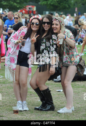 Girl dancing at summer music festival Stock Photo - Alamy