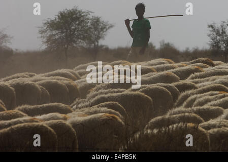 Rajasthan, Rajasthan of India. 15th July, 2014. A worker shaves the ...