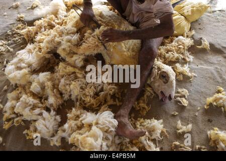 Rajasthan, Rajasthan of India. 15th July, 2014. A worker shaves the ...