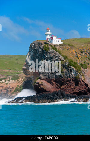 Lighthouse at Taiaroa Head on Otago Peninsula, Dunedin, New Zealand ...