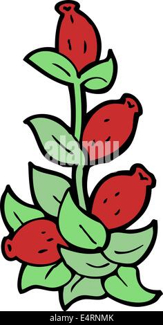 cartoon rosehip flowers Stock Vector Image & Art - Alamy
