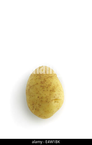 A single fresh raw potato isolated on white background Stock Photo - Alamy