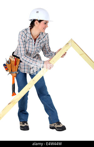 board, cloud, cabin, carpenter, barge, carpentry, building ...