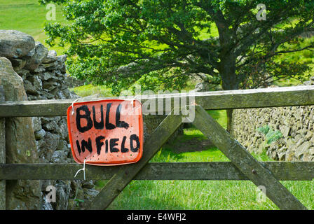 Beware of the bull warning sign bull in field on farm fence, wales UK ...