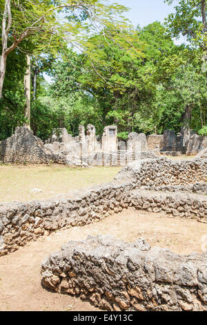Kenya, Gede ruins are the remains of a Swahili town located in Gedi, a ...