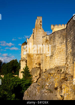 France, Charente Maritime, Pons, the donjon, the city hall and the town ...