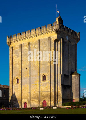 France, Charente Maritime, Pons, the donjon, the city hall and the town ...