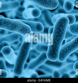 Bacteria under microscope Stock Photo - Alamy