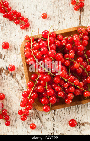 Natural red currants on a branch in the garden Stock Photo - Alamy